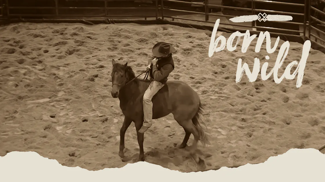 Born Wild: Saturday 5:00 PM | Crossroads Church