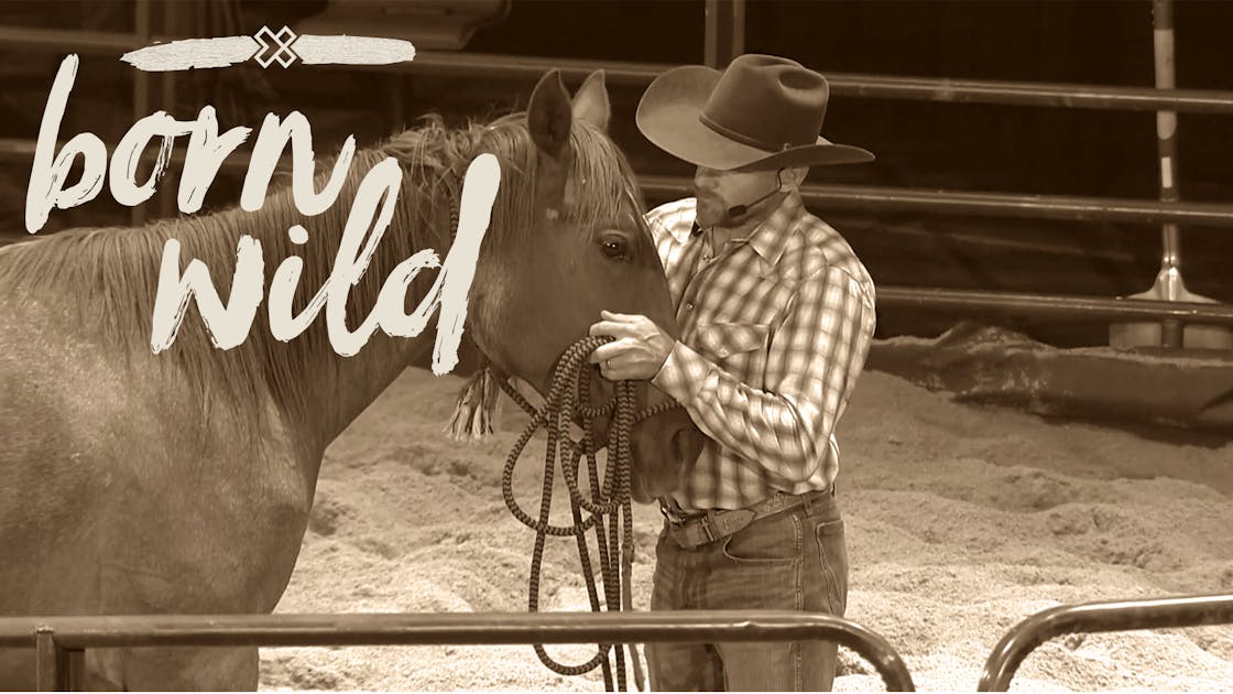 Born Wild: Thursday 6:30pm | Crossroads Church